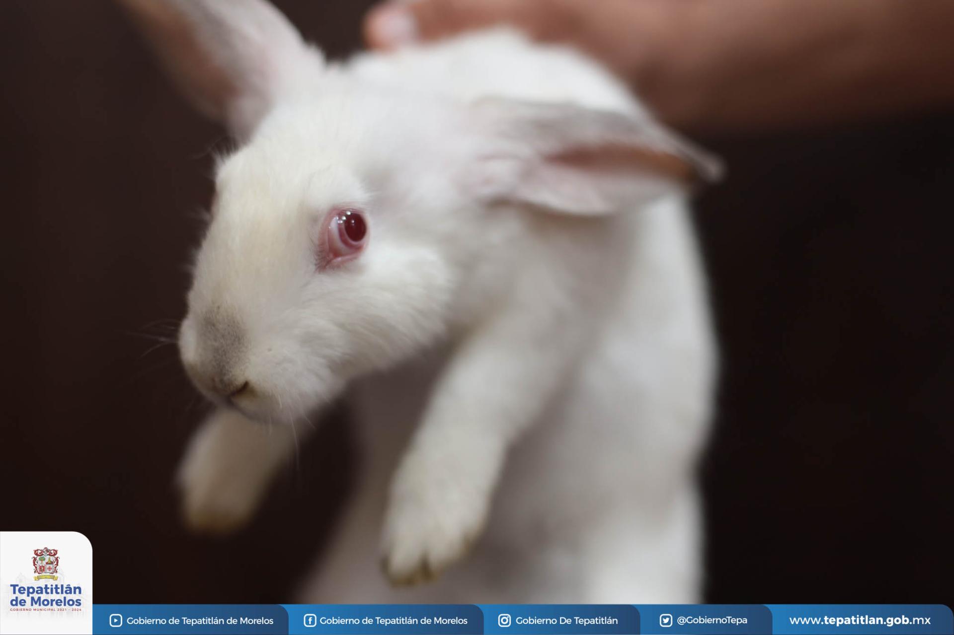 Comunicación Social | Gobierno de Tepatitlan de Morelos 2021-2024